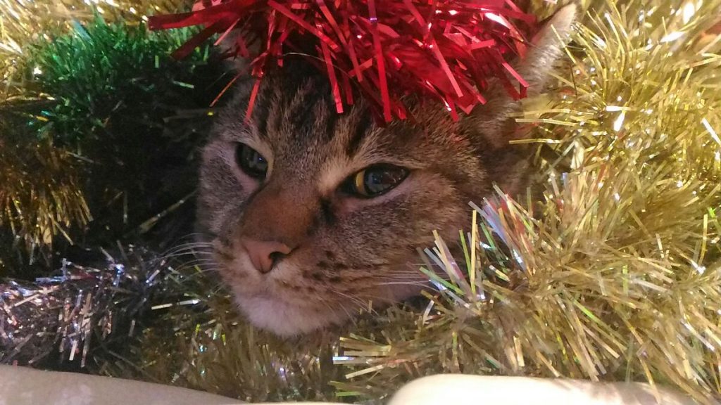 MageQuill Trivia - MageQuill Moments